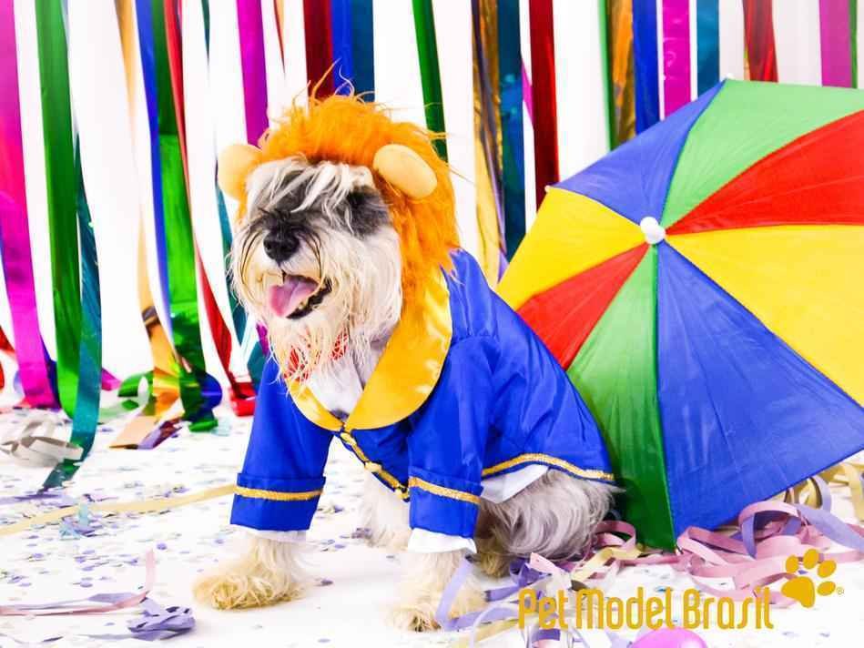 Confira o ensaio de carnaval dos cães produzido pela Pet Model Brasil
