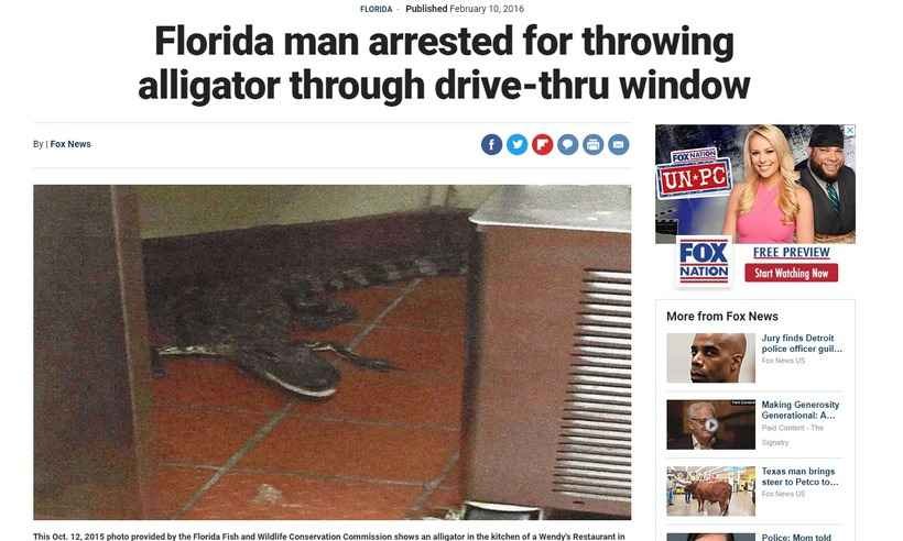 'Florida Man': o meme que virou desafio nas redes sociais - Olha Só